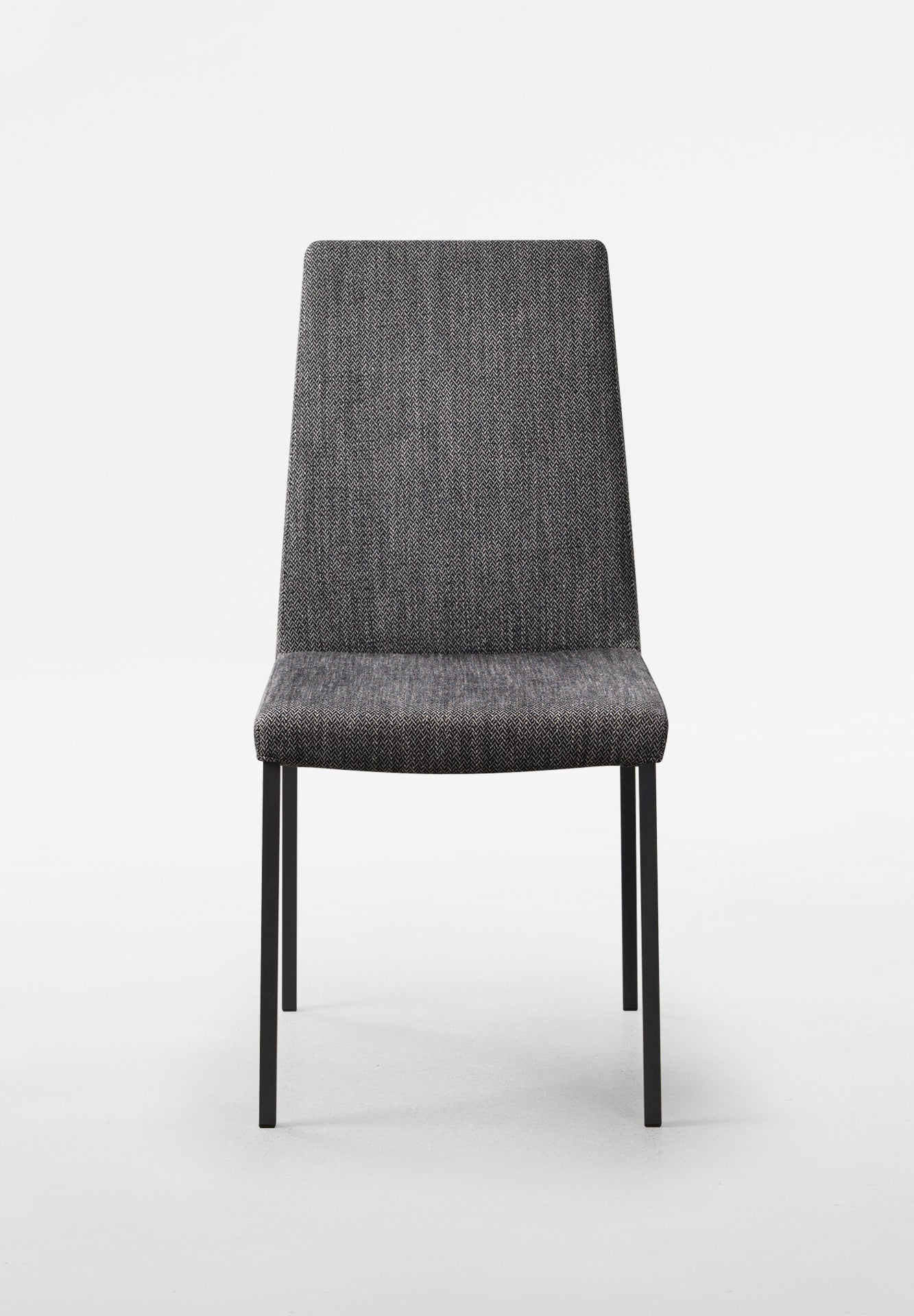 Muse Dining Chair – Antonini Modern Living